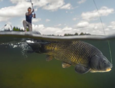 About Us - Specimen Tackle